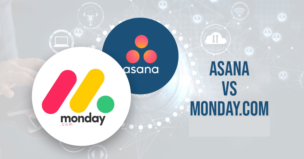 Asana software or Monday.com software, what's the best? | Style Vanity ...